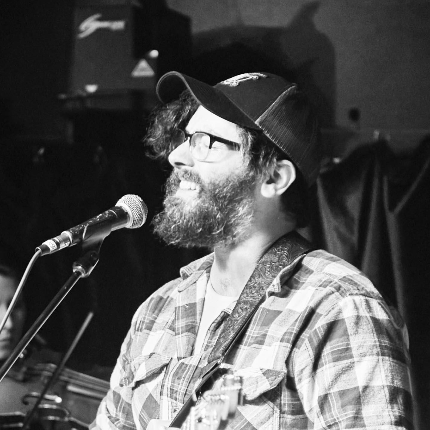 Album: The Decline of the Flies and the Rise of Spiders by Tim Mechling ...